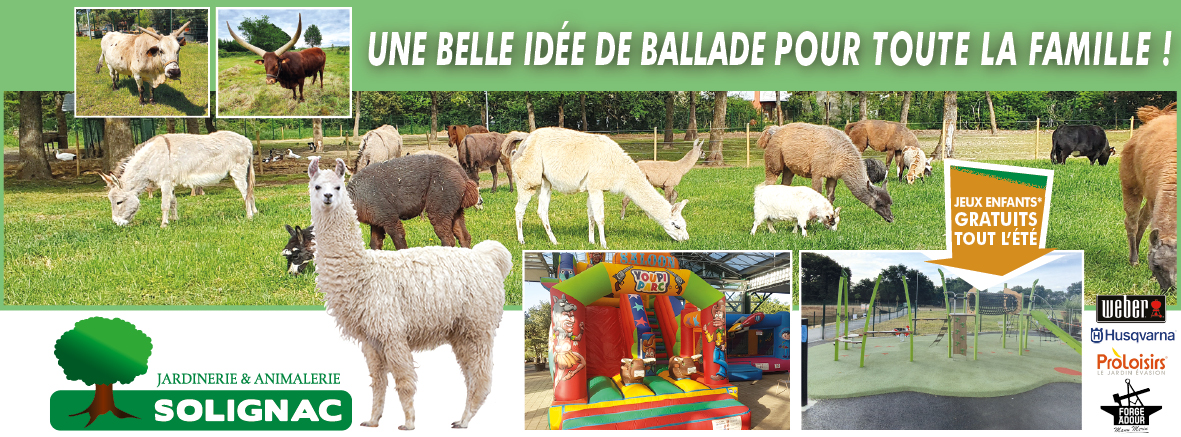 Jardinerie Solignac - Une jardinerie authentique à Bessières